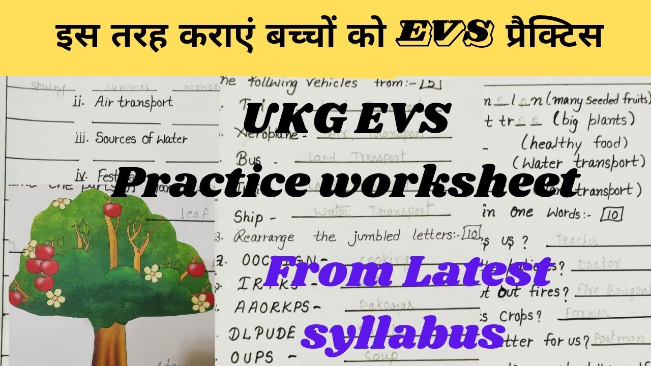 UKG EVS Questions paper||UKG EVS Test Paper|UKG EVS Worksheet ...