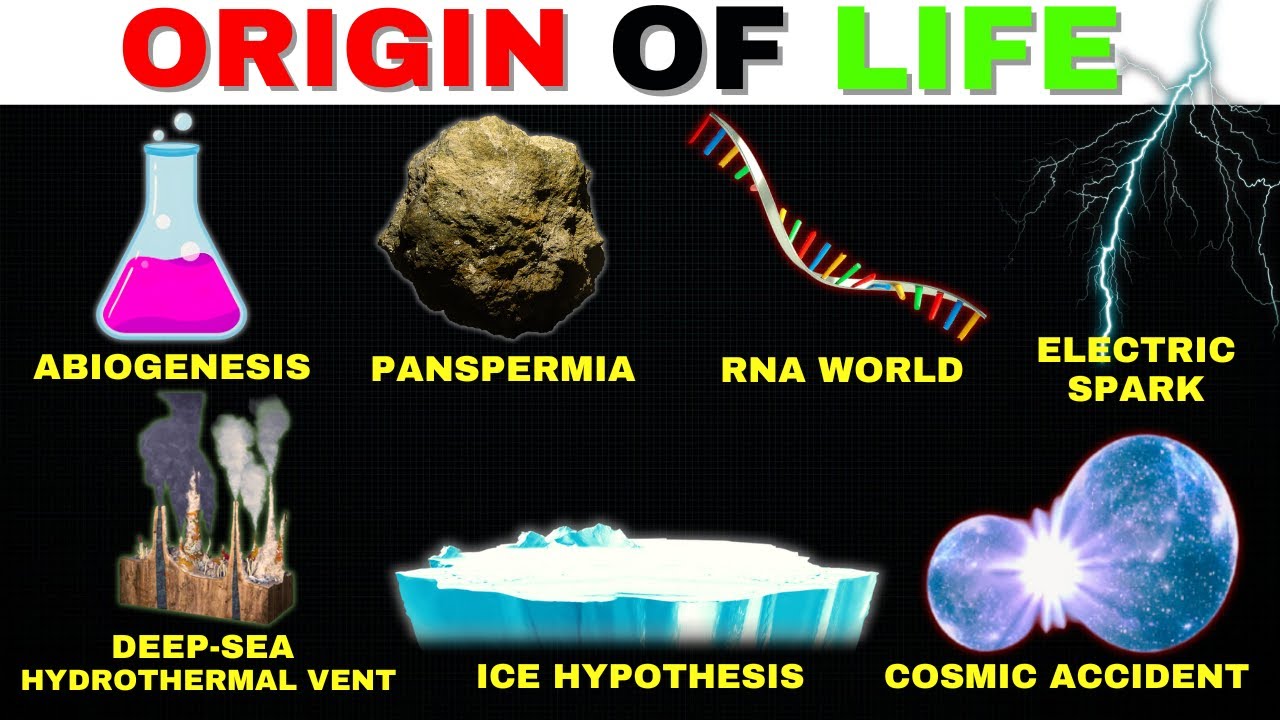 The Origin of Life: 7 Scientific Hypotheses Explained - YouTube