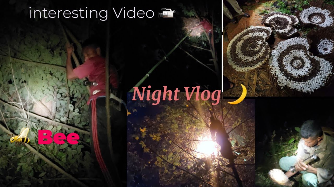 Interesting Night🌙Vlog |Bee🐝| @villagelifeupdate3334 - YouTube