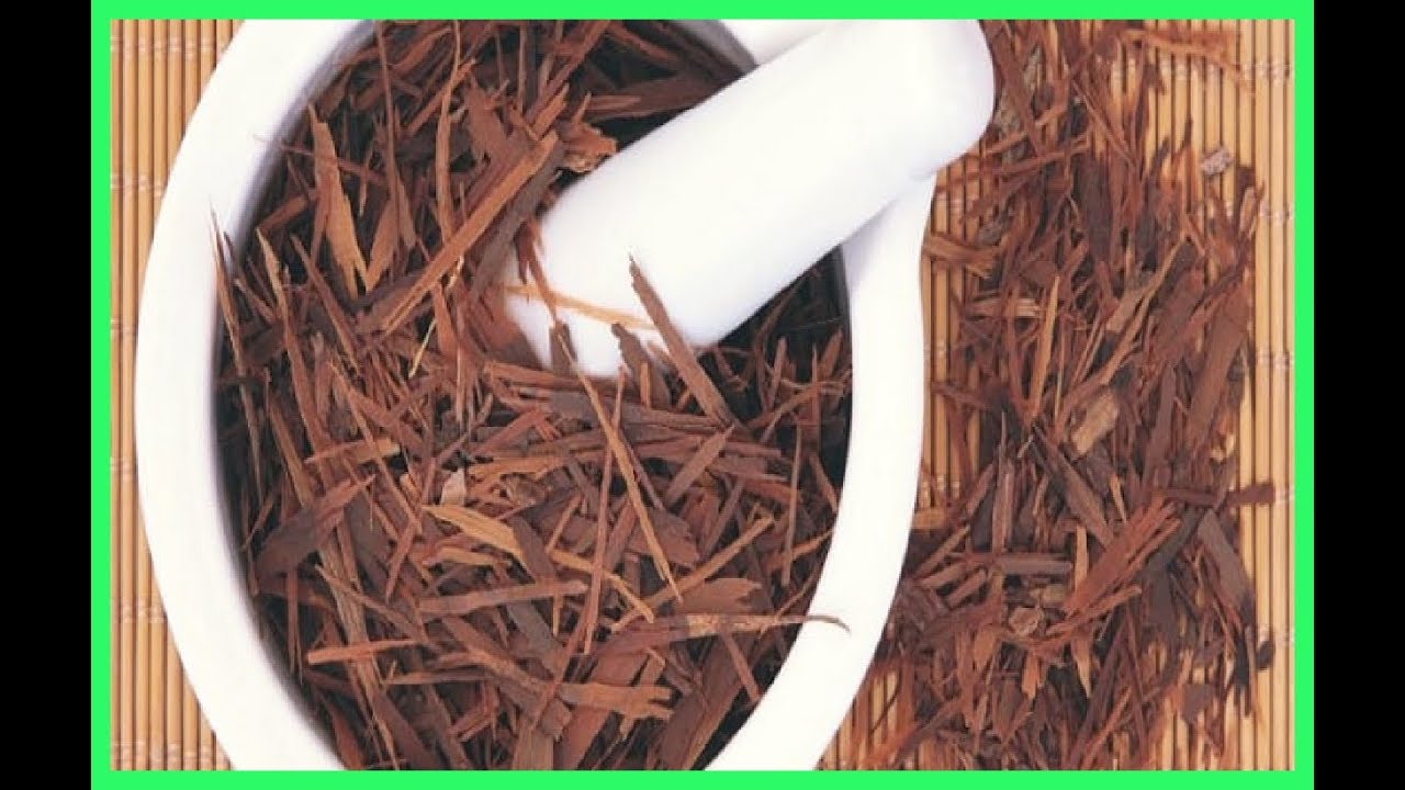 Los Beneficios Saludables de té Pau D'Arco - YouTube