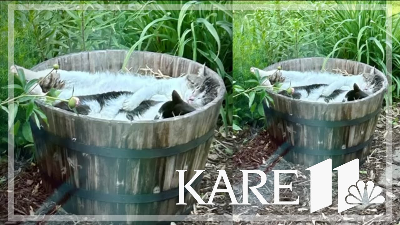Your Good News: Marsha Weber, Troy Hansen - YouTube