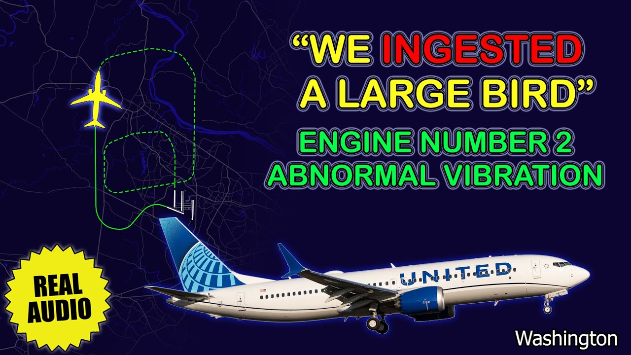 The airplane returns after bird strike. United Boeing 737 MAX 8 ...