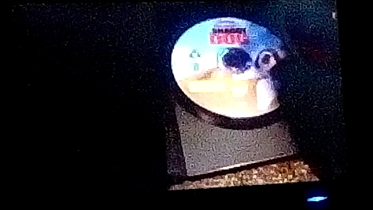 The Shaggy Dog And High School Musical 3 Senior Year (UK) DVD Unboxing ...