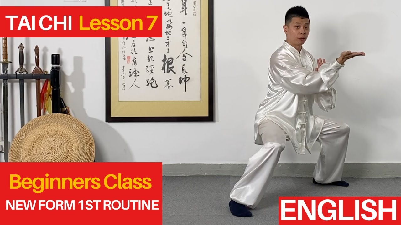 Chen Style Tai Chi - New Form 1st Routine - 7. White Goose Spreading Wings | Master Chow - YouTube