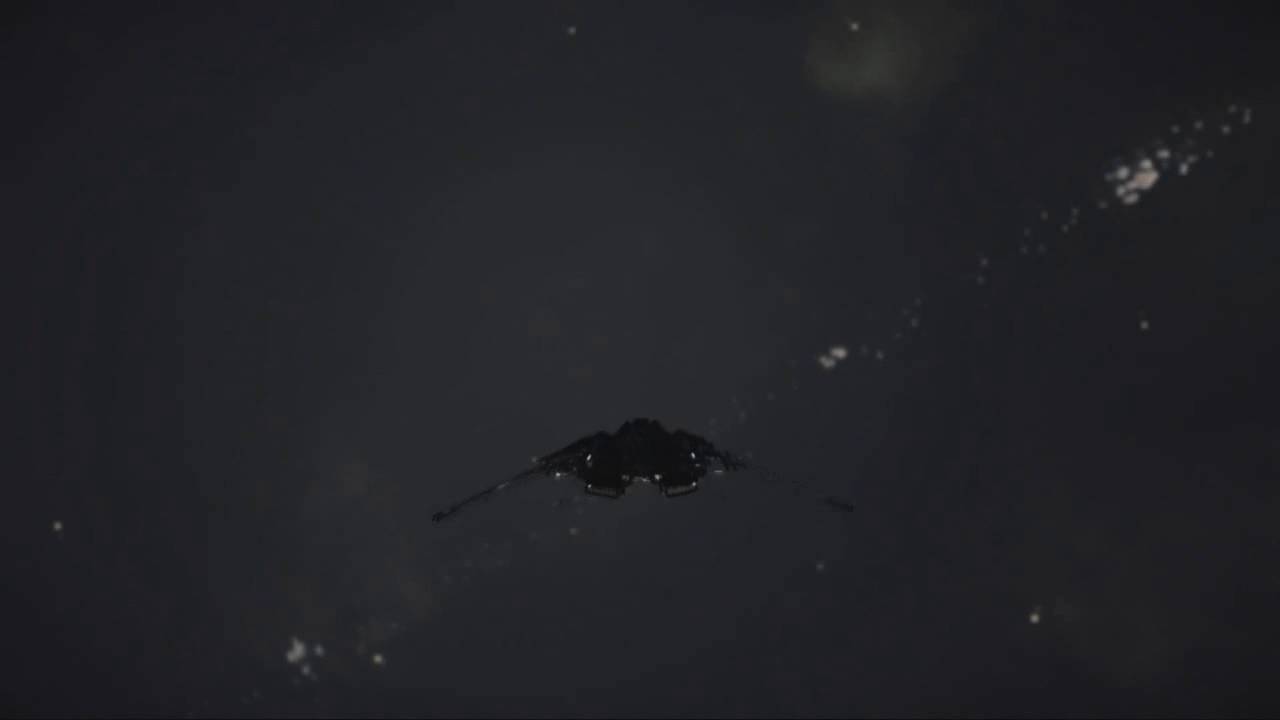 Star Citizen Yela Moon and Gas Planet Landing try - YouTube