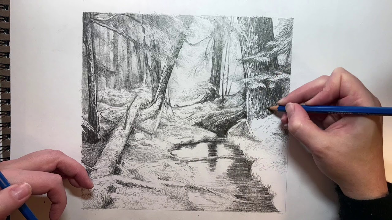 Time Lapse from Week 3 of Drawing the Landscape: Windy Bay Forest ...