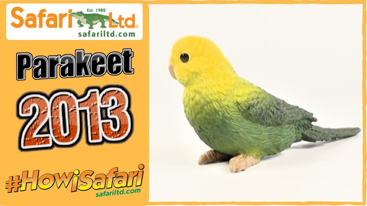 Safari Ltd. 2013 Green Parakeet || #HowiSafari Bird Figure Review ...