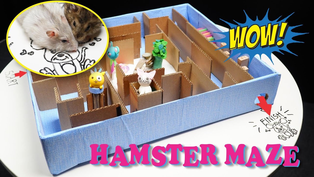 Hamster Maze 3# 🐹 Hamster Black And Hamster White Find Your Way Out Of ...