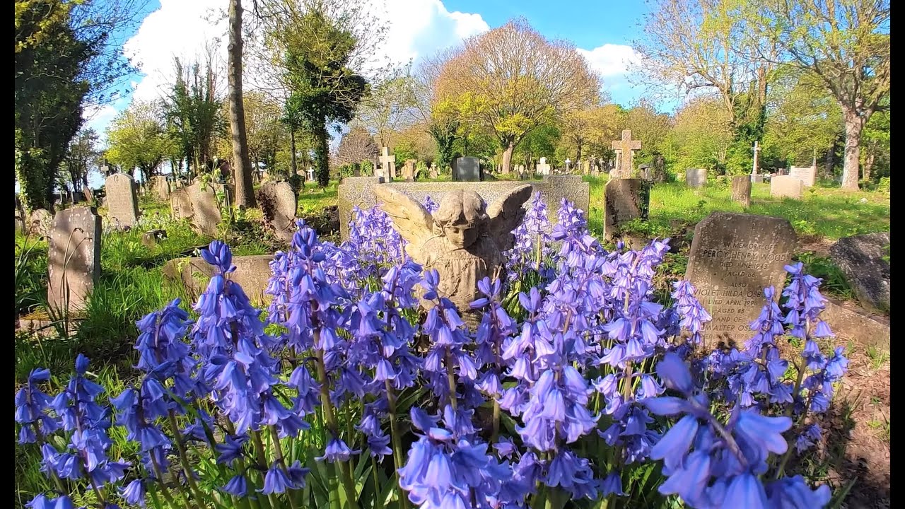 The Bluebell Angel, Unique Monuments and Beautiful Trees / Cemetery ...