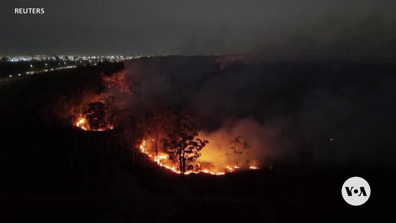 Fires destroy 11 million hectares of Brazil’s plantations, native ...