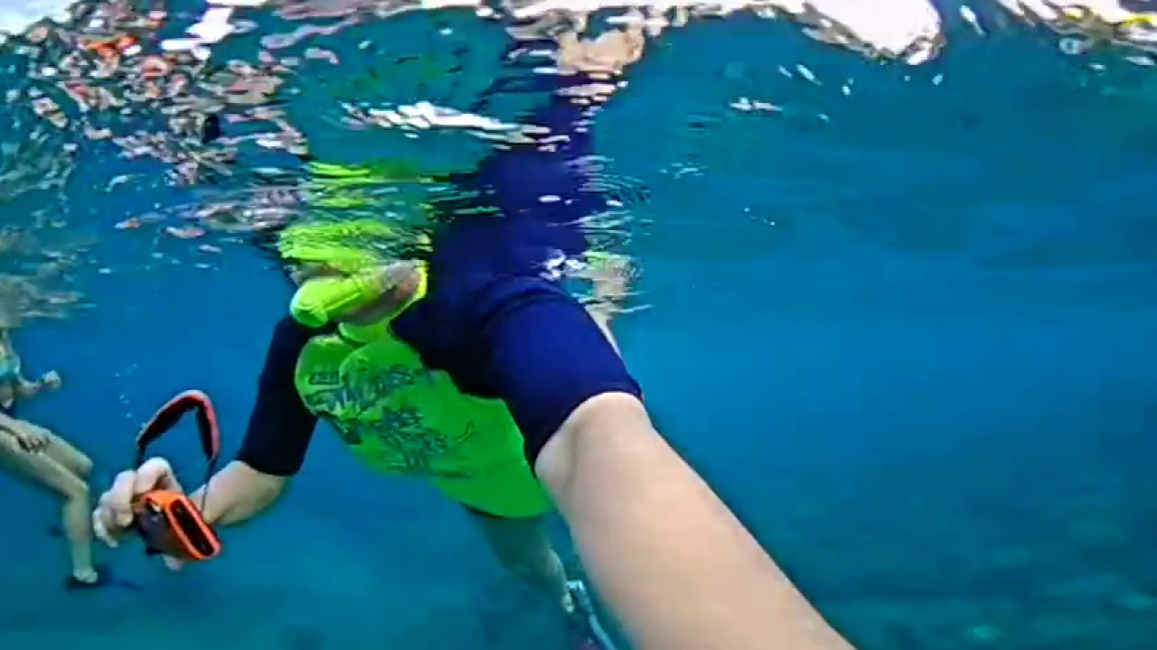 Turtles 360 - YouTube