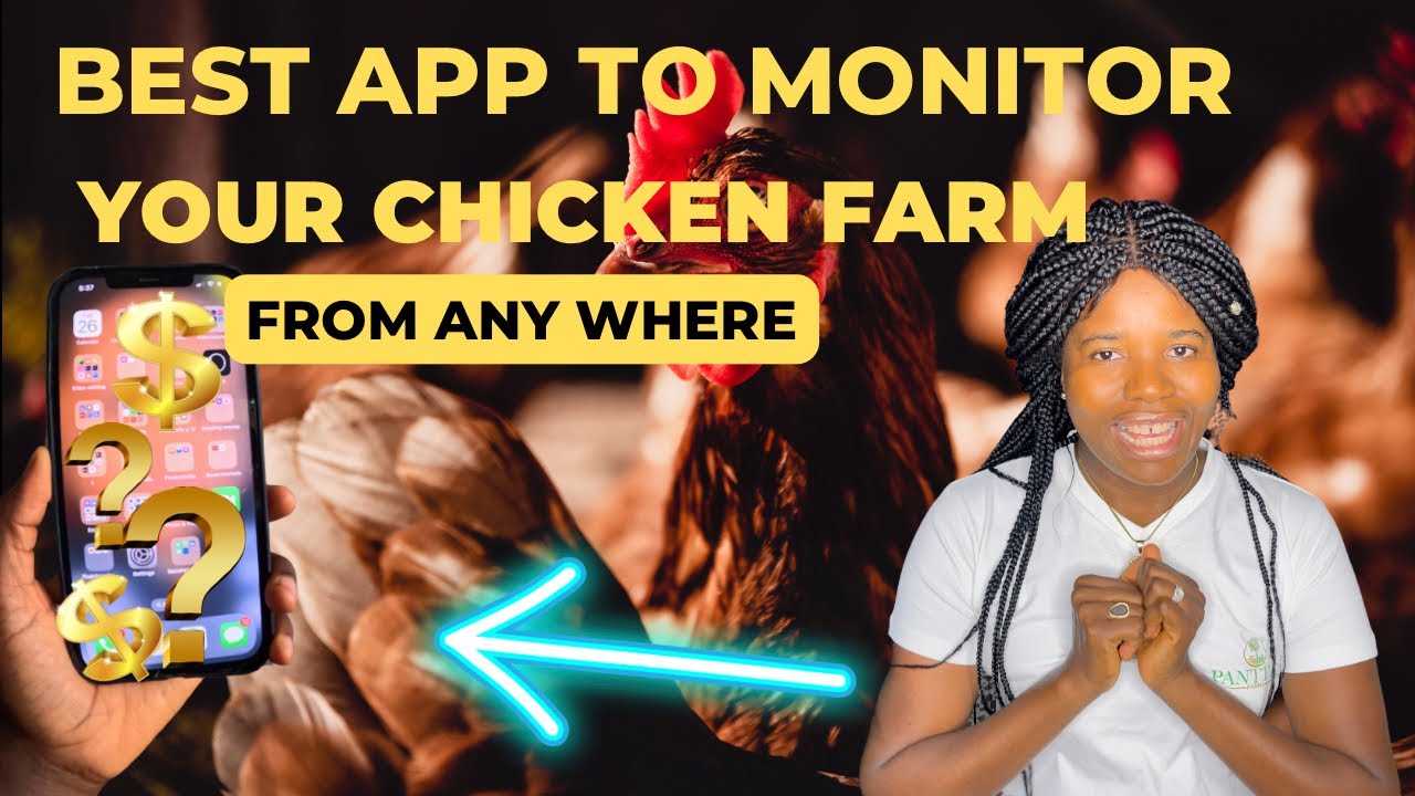 Best App To Monitor Your Chicken Farm Business From Anywhere | How to ...