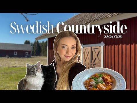 Join Me On A Spring Day In The North | Cooking | Nature | Cats | Calm | No Talk