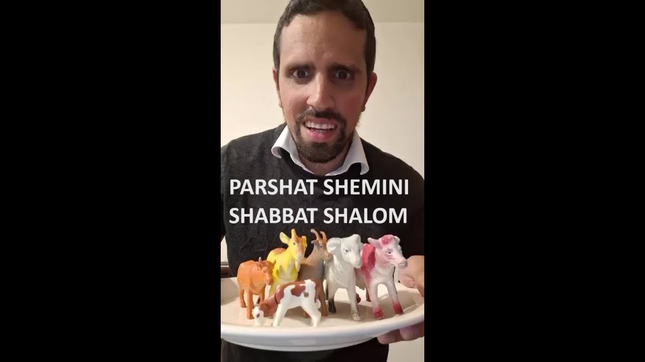 Parshat Shemini - Shabbat Torah Reading - Kashrut - YouTube