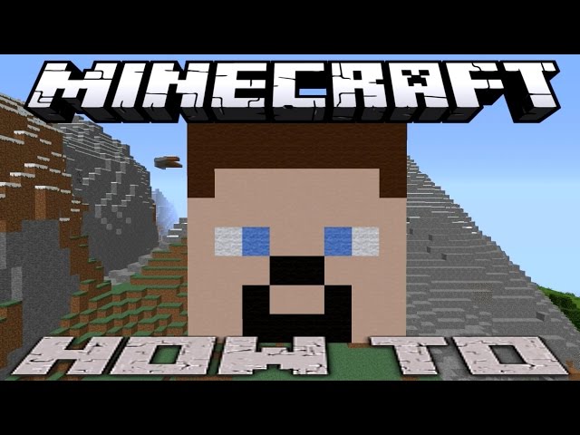 Steve Hoofd Minecraft