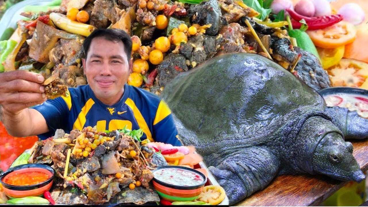 (Graphic)Soft shell Turtle clean|Cooking Soft Sell Turtle Tasty Food in ...