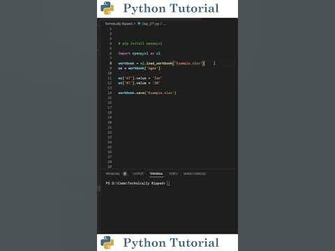 Edit Cell Values - Openpyxl | Python Tutorial - YouTube