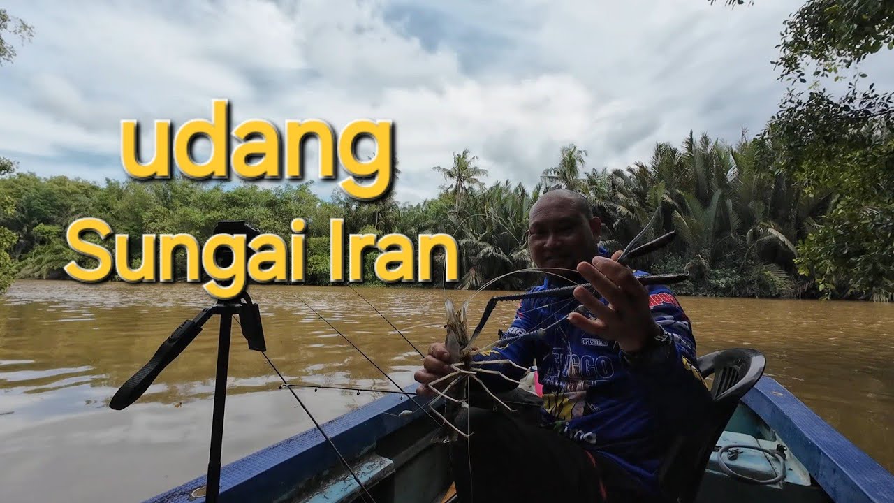 pancing udang di sungai Iran yang sangat terkenal di Sarawak - YouTube