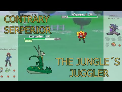 Serperior, the Royal Grass Sweeper (Pokemon Showdown Random Battles ...