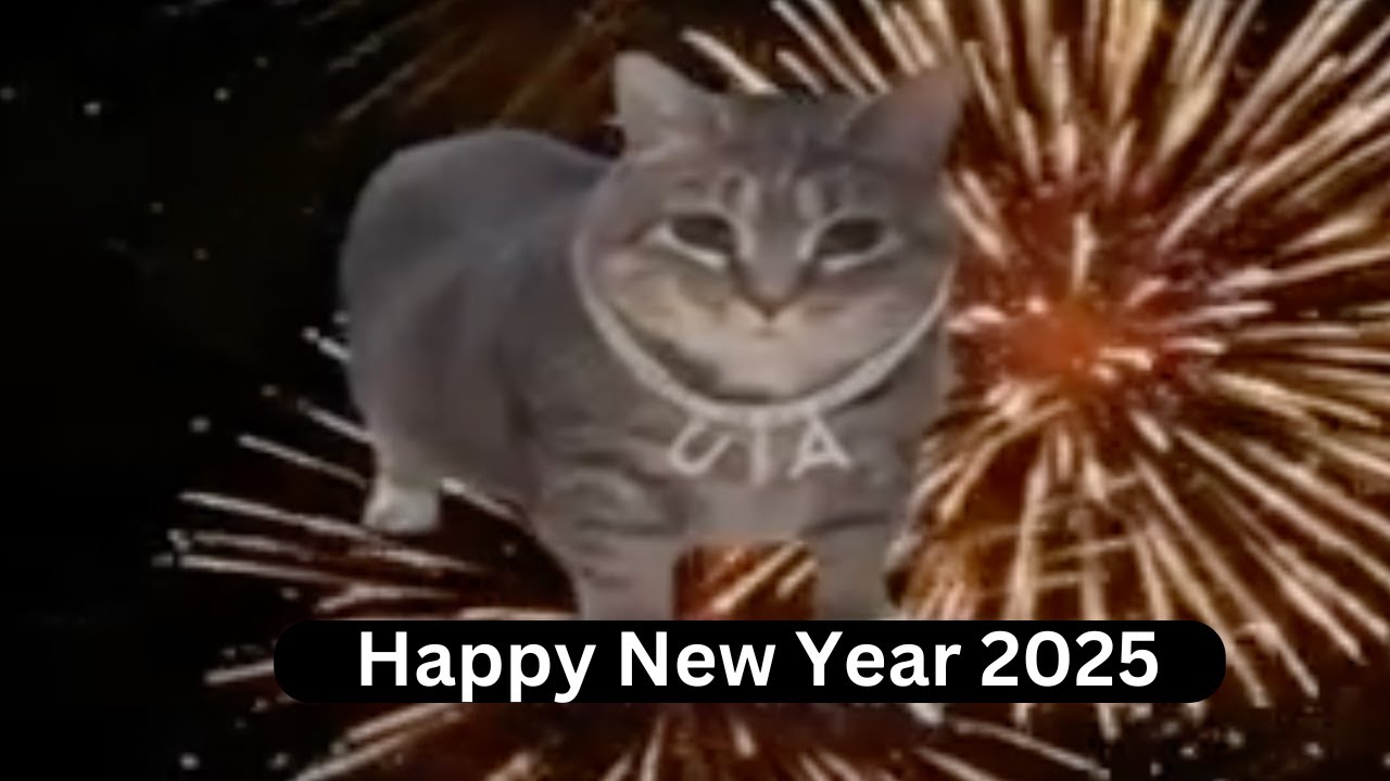 OIIAOIIA Spinning Cat 2025 Happy new Year - YouTube