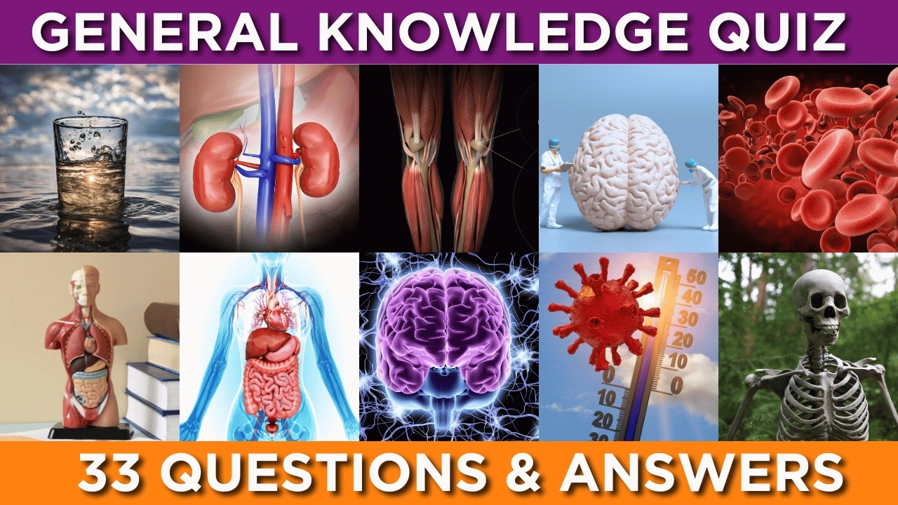 🧠🦴 33 Must-Know Facts About the Human Body Quiz 🩺 - YouTube