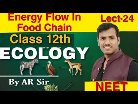 Class 12th Ecology (Energy Flow In Food Chain) NEET,JEE By AR Sir ...