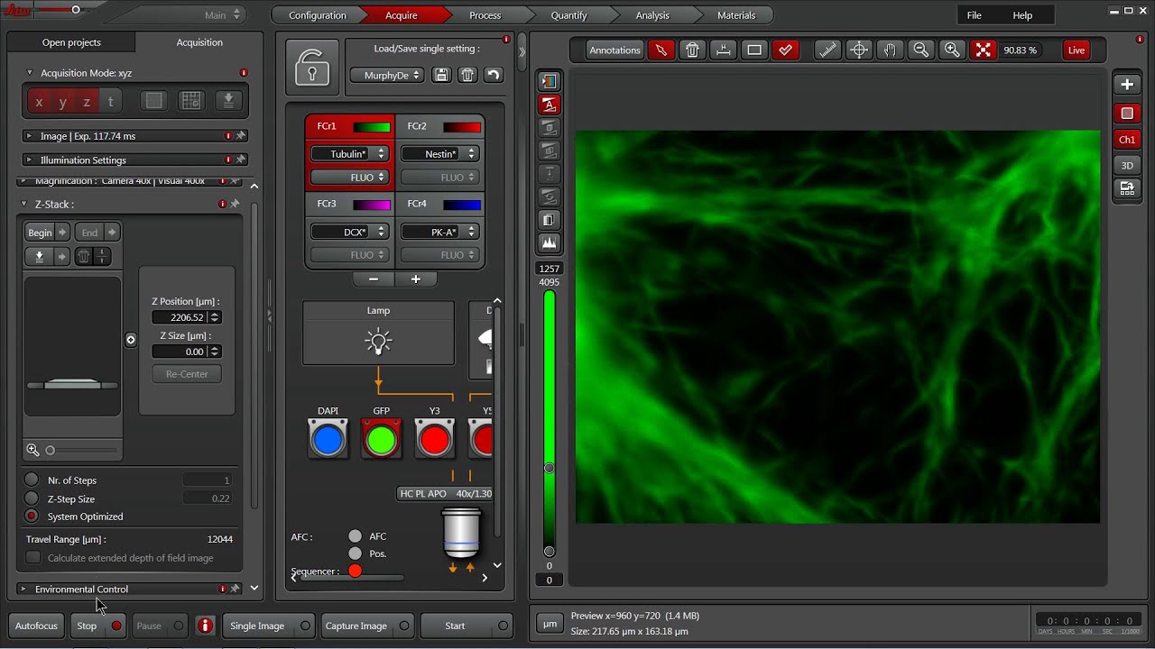 Leica LAS X Software Experiment Setup: Z-stack - YouTube