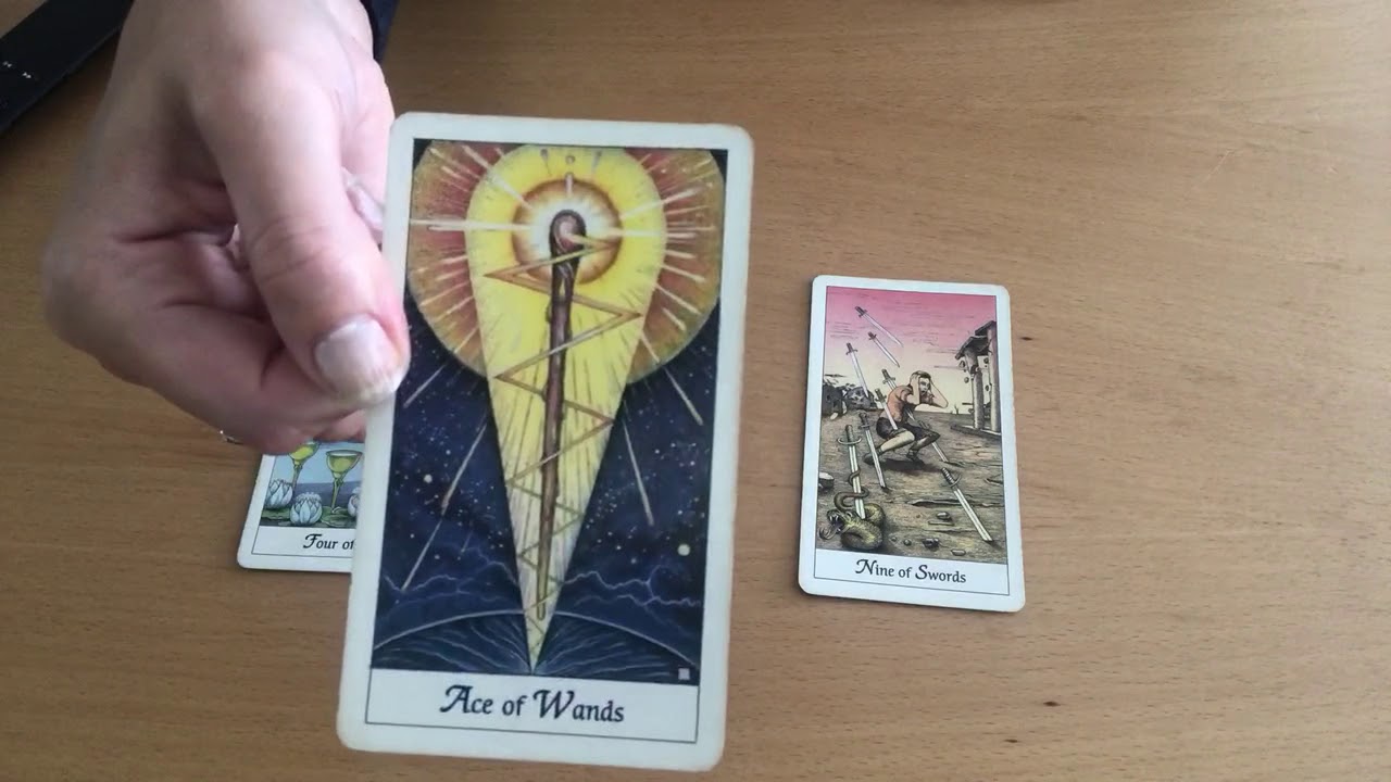 Funny Tarot Card Readings - YouTube