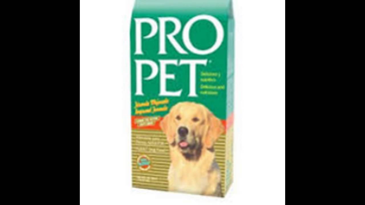 ALIMENTO PARA PERROS PRO PET - YouTube
