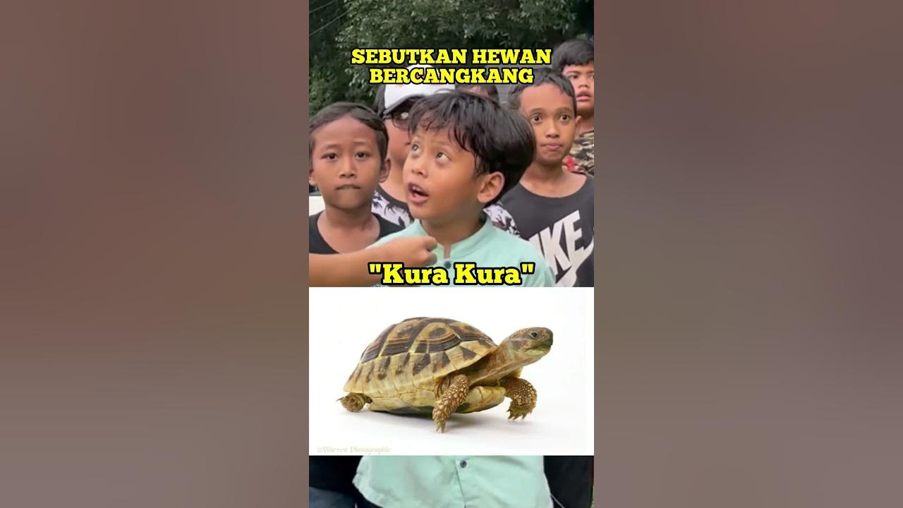 SEBUTKAN HEWAN YANG BERCANGKANG - YouTube
