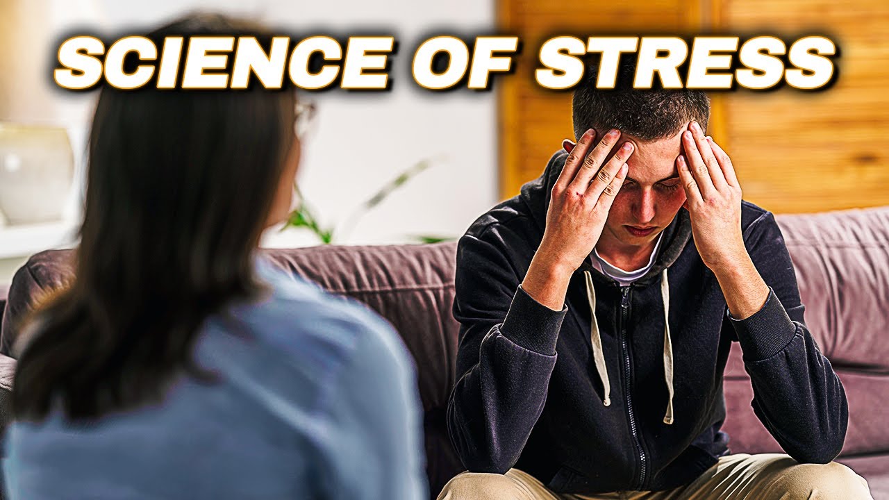 Why Stress IS NOT Always Bad // The SCIENCE Of Stress - YouTube