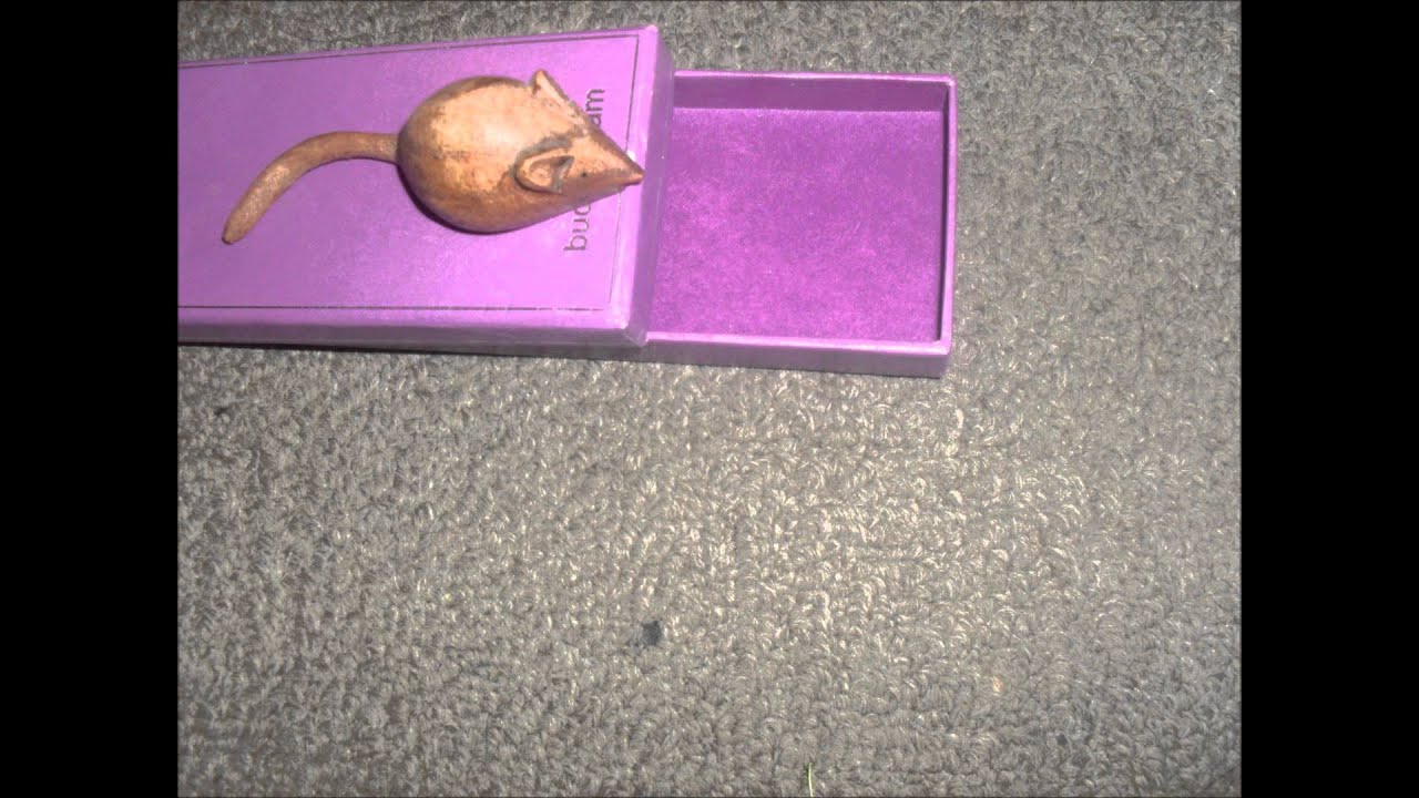 Mouse Stop Motion Animation - YouTube