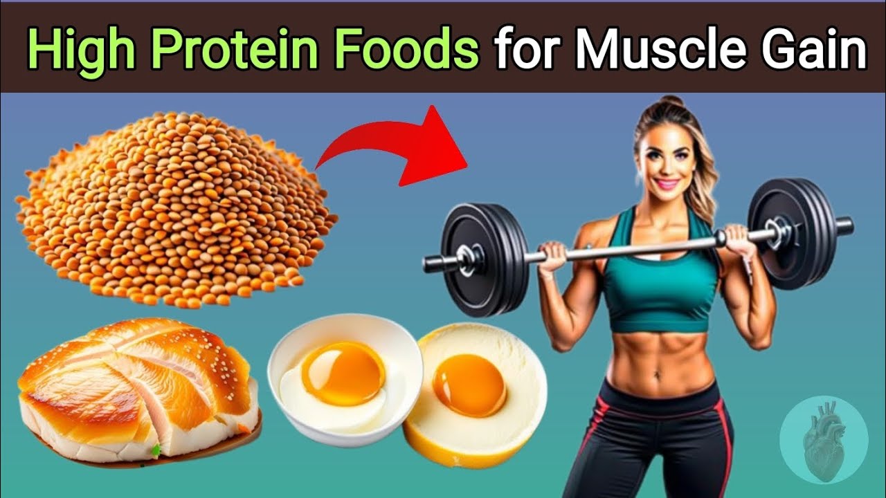 Top 10 High Protein Foods for Muscle Gain - YouTube