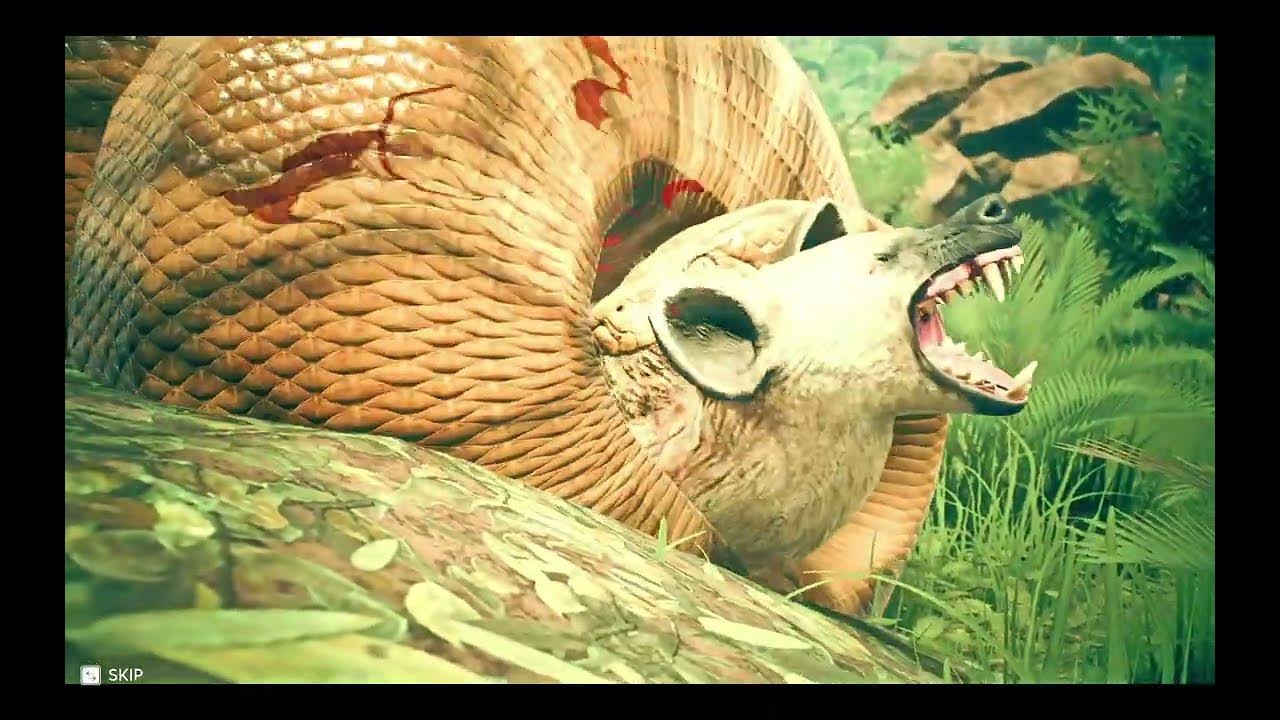 the African Rock Python kill the Enemy Hyena - YouTube