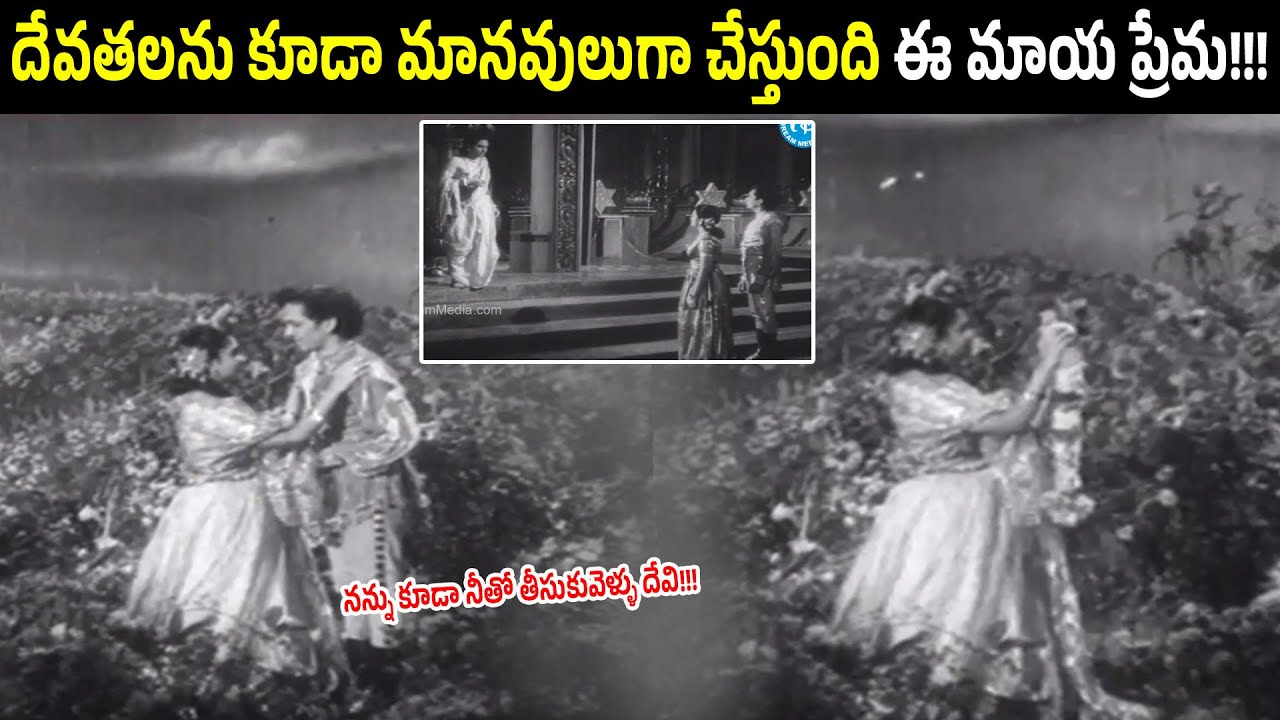 Swapna Sundari Came Out Of Her World For Prabhu's Love | Anjali Devi ...