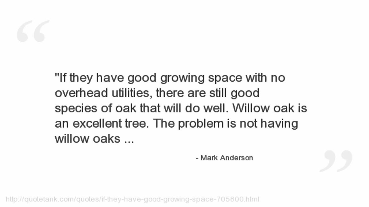 Mark Anderson Quotes - YouTube