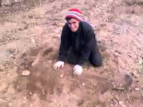 D�nyan?n enkomik videolar?ndan biri :)