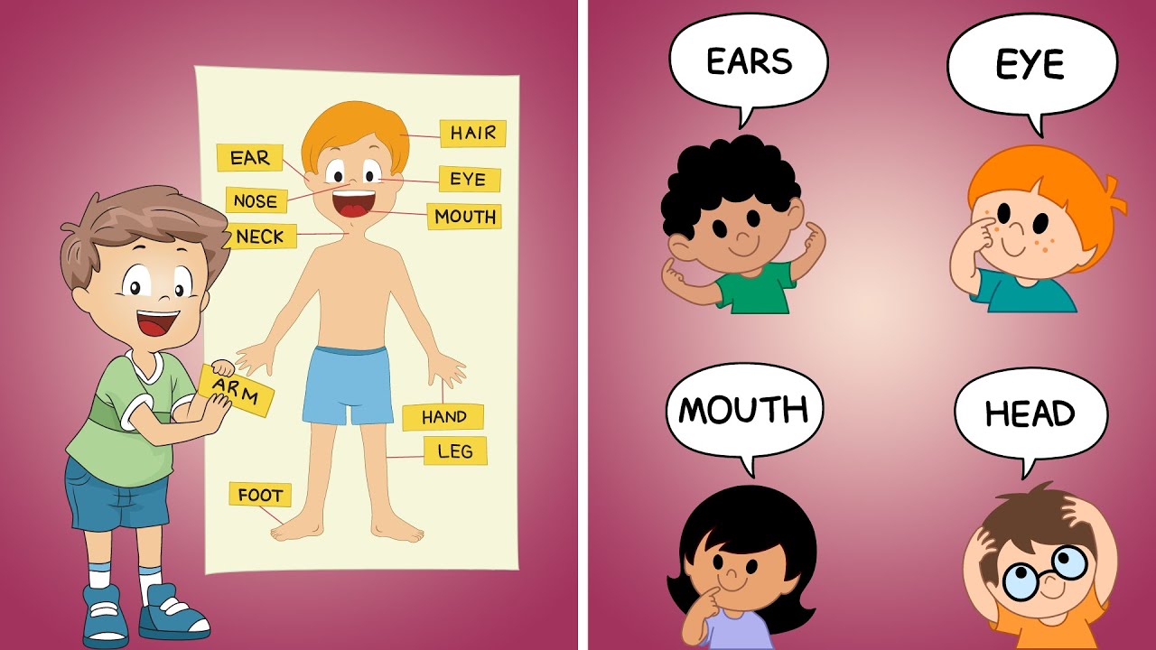 Body Part | Kids Video | Phonics Song | - YouTube