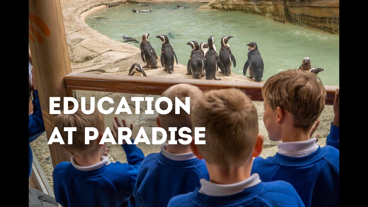 Back to School! | Education at Paradise - YouTube