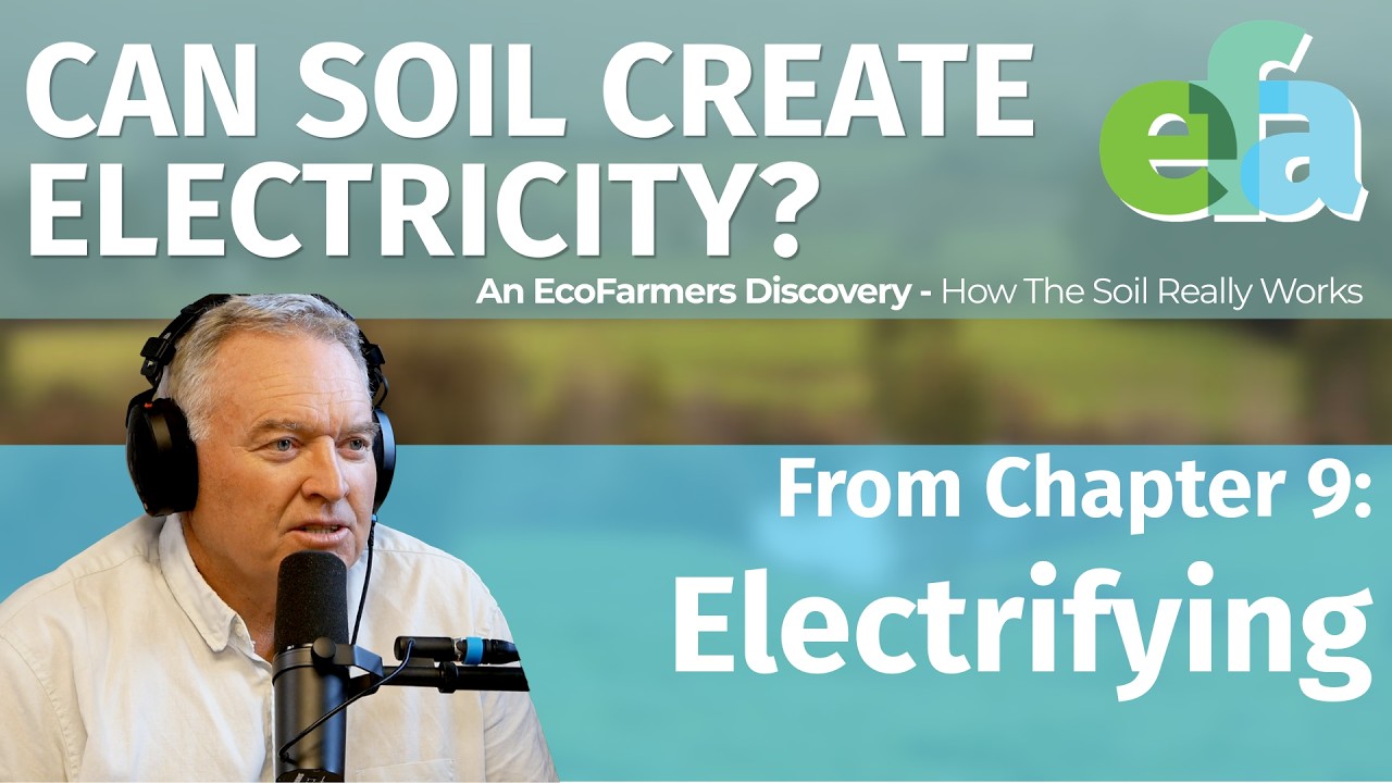 The Electrical Farming Breakthrough That Changes Everything - YouTube