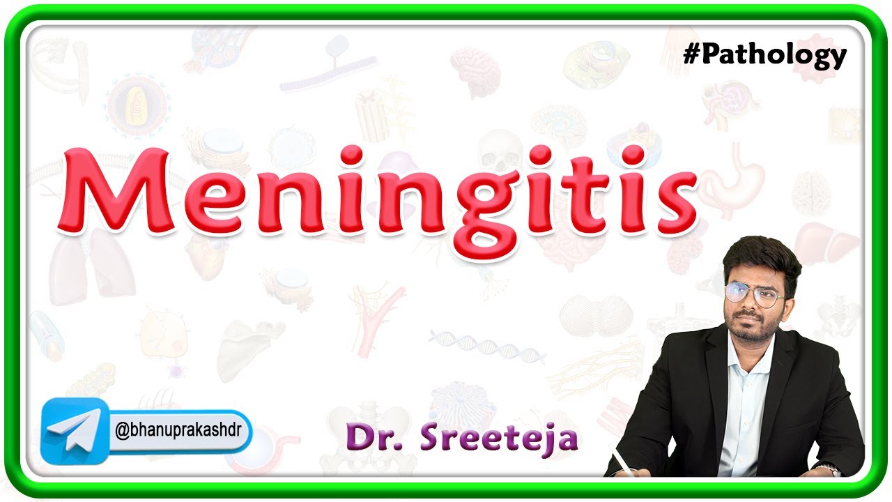 4. Meningitis | USMLE Step 1 Pathology - YouTube