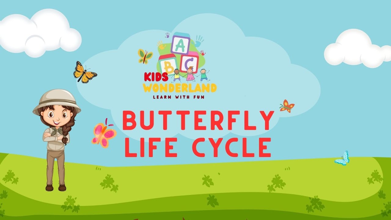 Butterfly Life Cycle | Kids Wonderland - YouTube