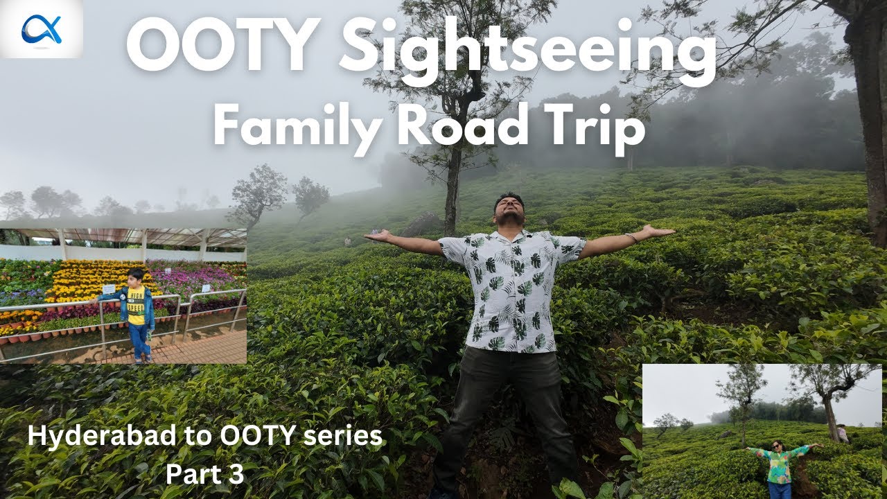 Ooty Sightseeing: Botanical Gardens, Tea Factory Tour & Doddabetta Peak ...