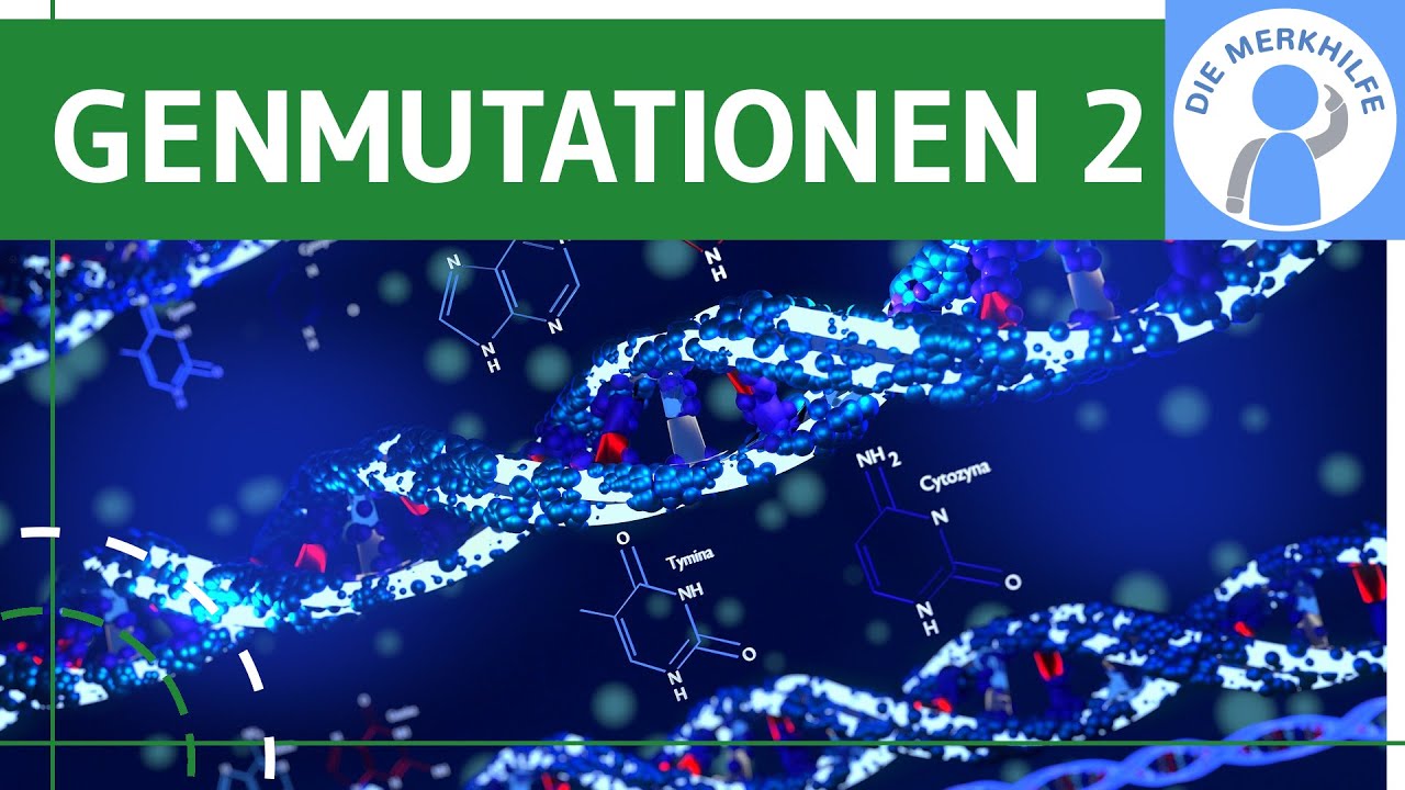 Genmutationen 2 - Punktmutation, Deletionsmutation & Insertionsmutation ...