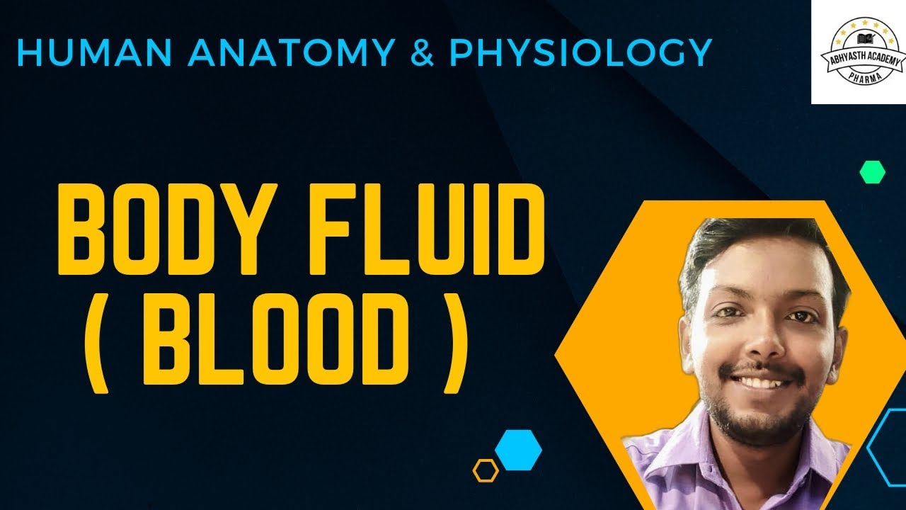 BODY FLUID ( BLOOD ) ll COMPONENT OF BLOOD ll HUMAN ANATOMY ...
