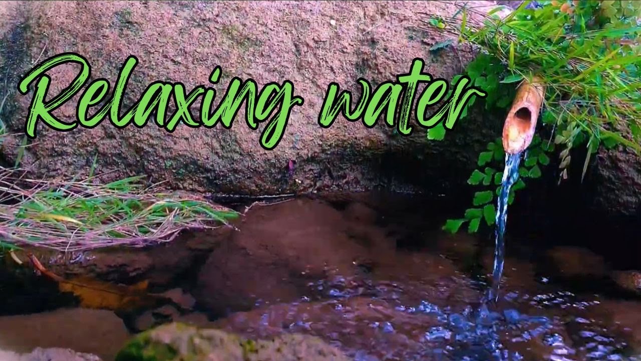Peaceful Water Ambience & Gentle Tunes | Perfect for Meditation ...