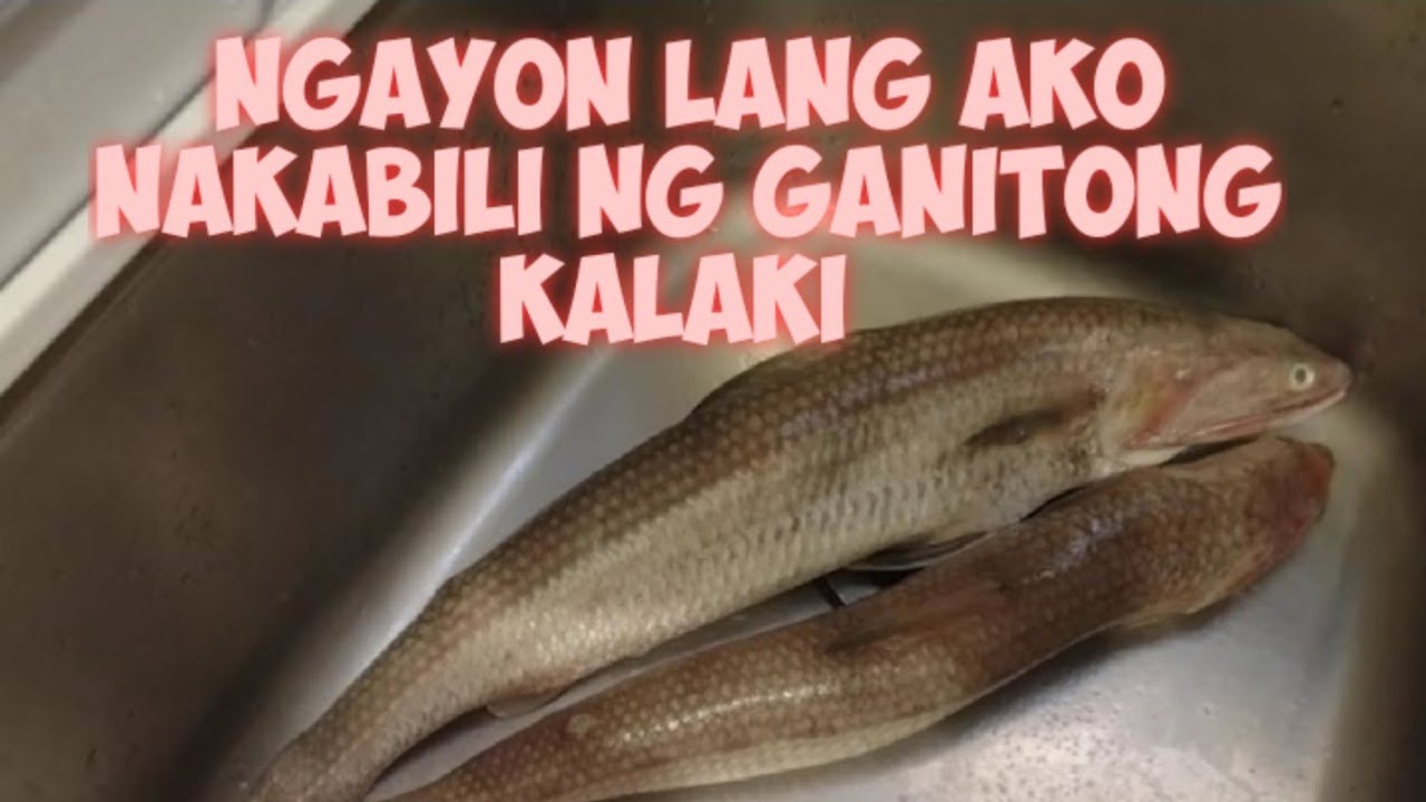 MAKROONA FISH NGAYON LANG AKO NAKABILI NG GANITONG KALAKI - YouTube