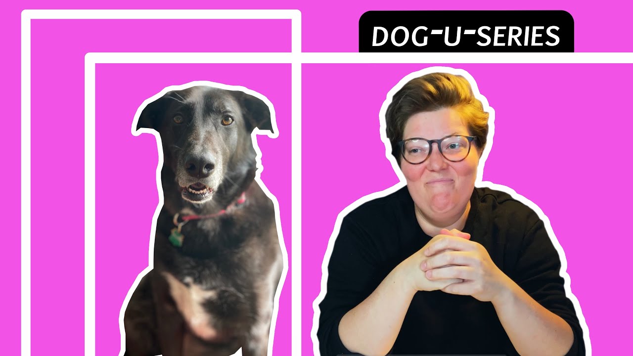 Dog-U-Series: What's it like being around each other 24/7? - YouTube