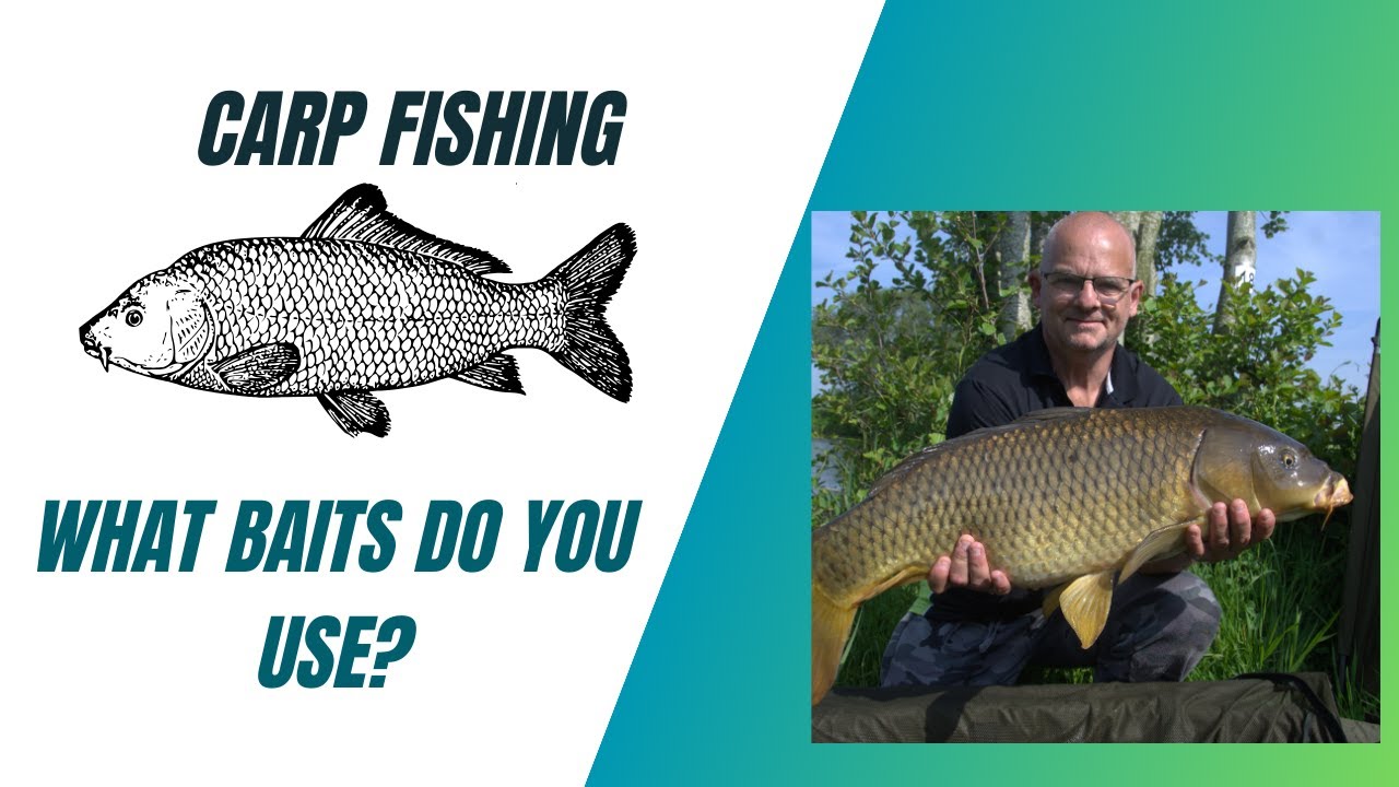 Carp Bait Review - YouTube