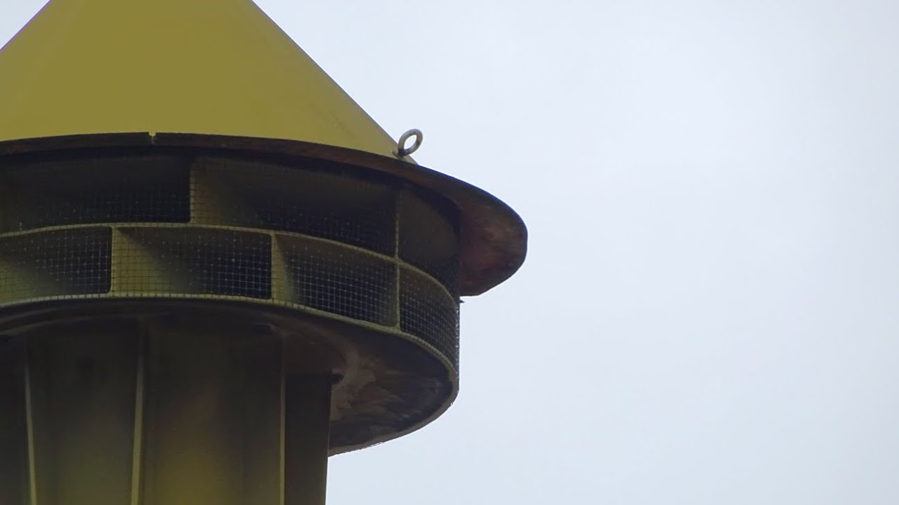 La Farge, WI | ACA Cyclone 125 | Full Alert | Vernon Co. Siren Test | 6 ...